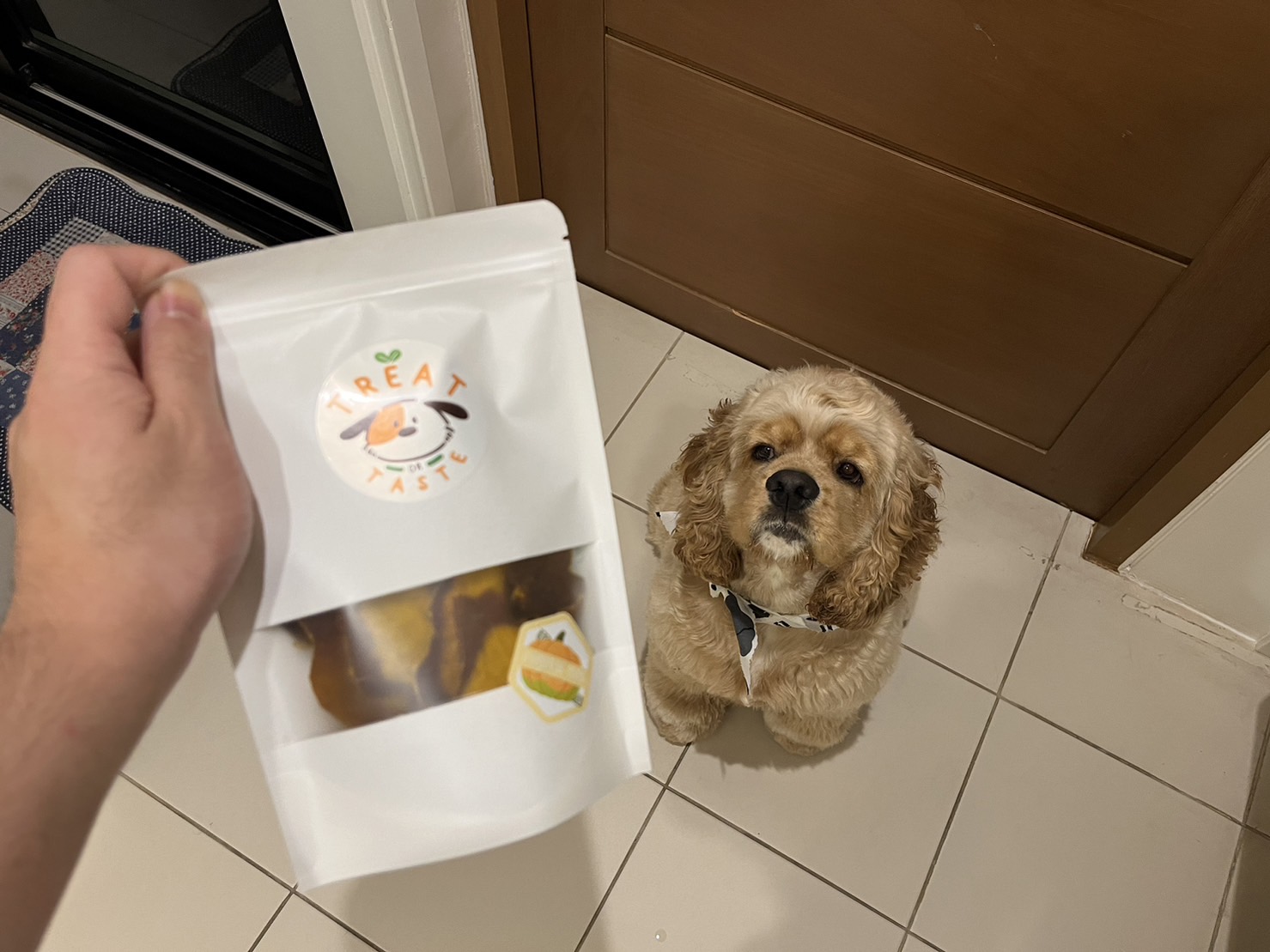 5 ขนมสุนัขแพ้ง่าย ขนมยี่ห้อไหนดีสำหรับน้องหมาแพ้อาหาร-แพ้ไก่ - roonnhaidee